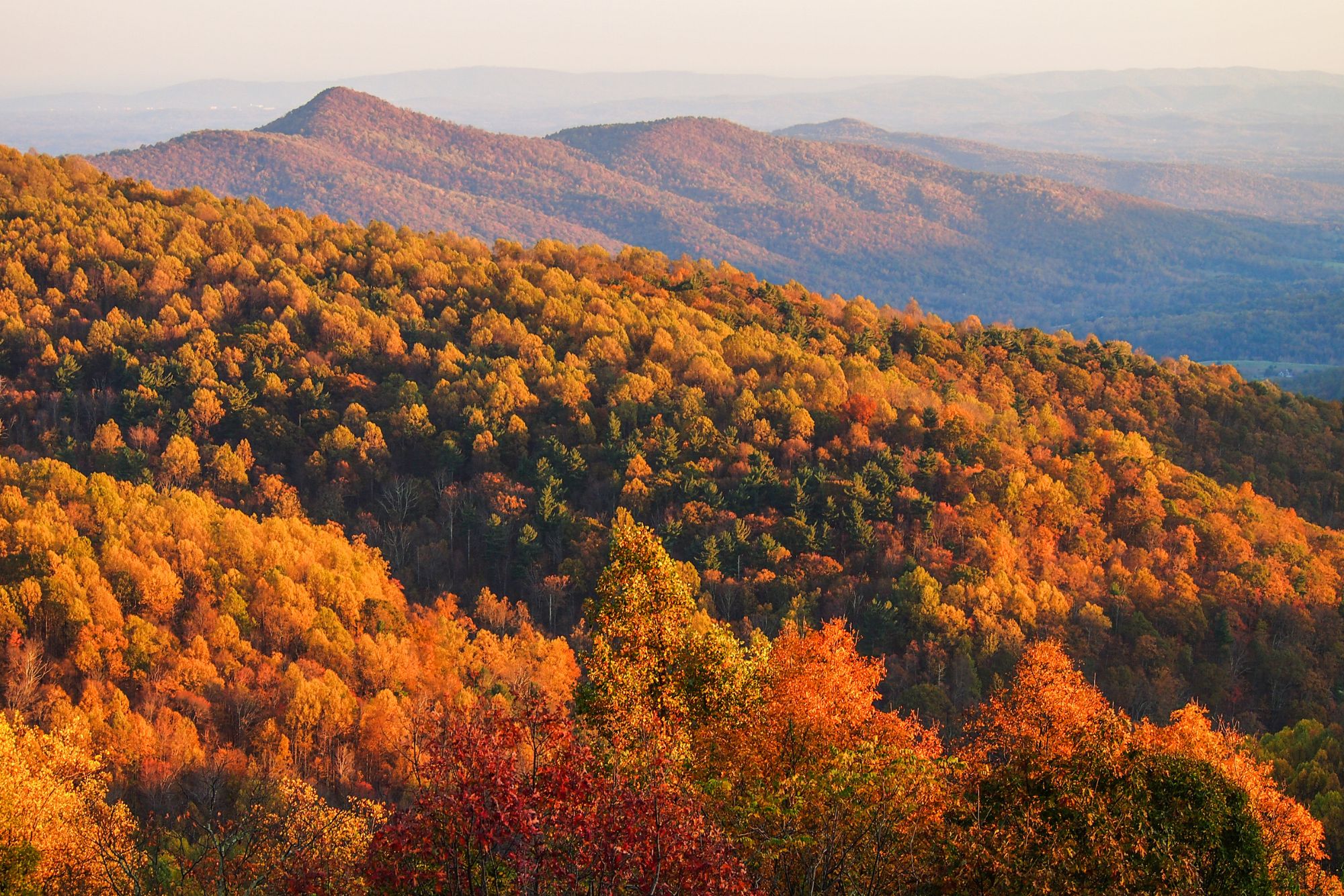 Top 5 East Coast Destinations To Catch Fall Foliage